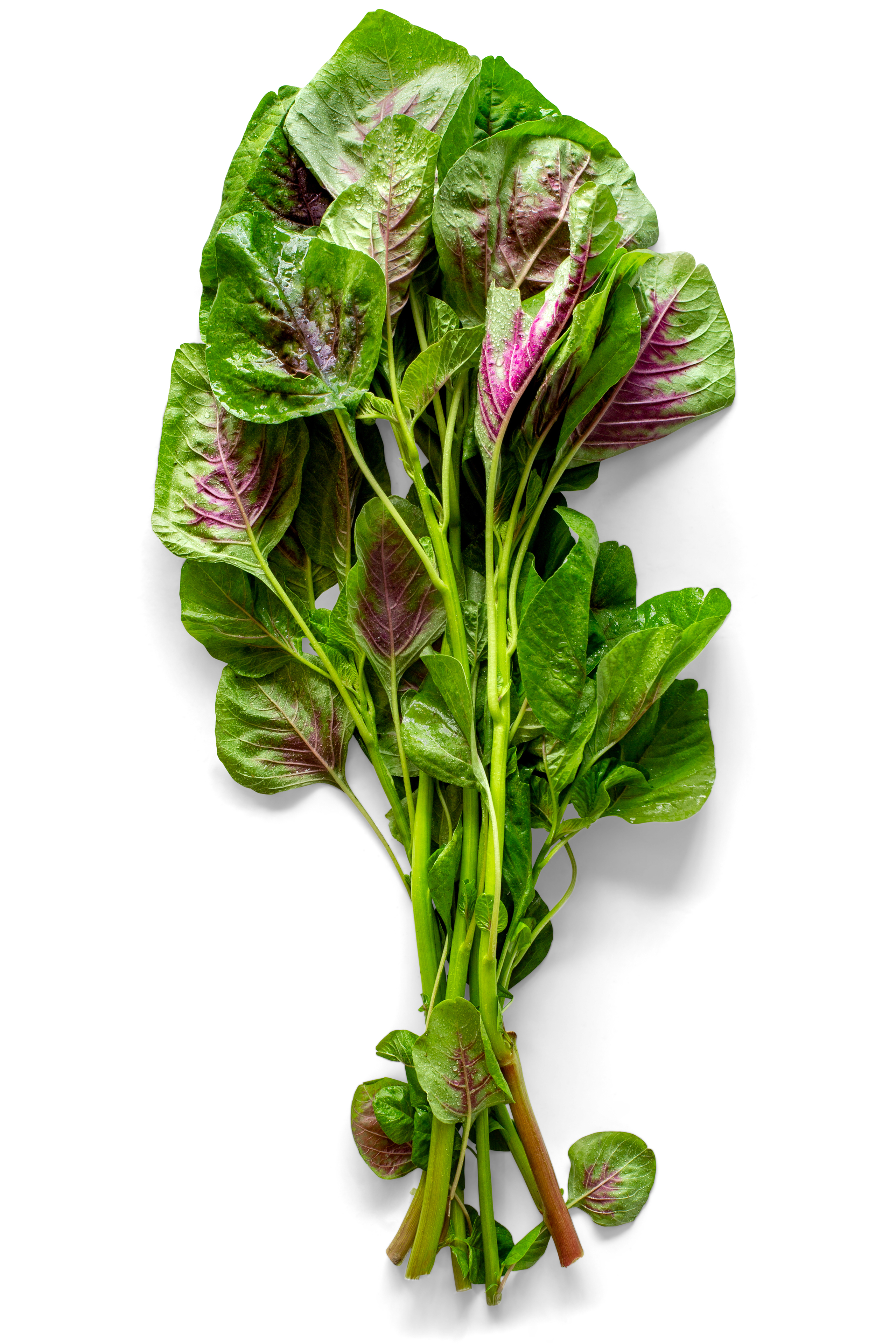 Exotic vegetables | Oriental Greens