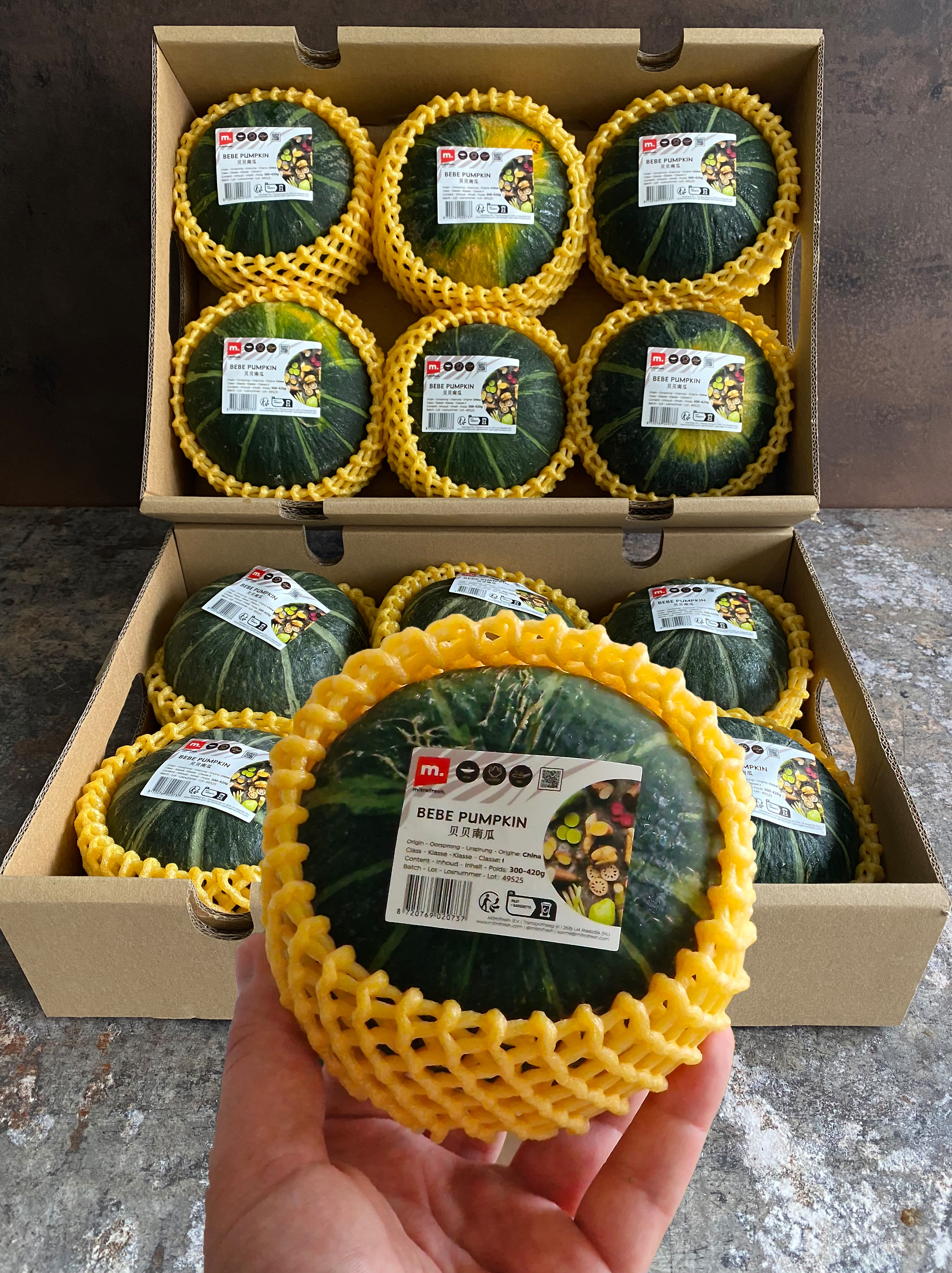 Halloween - 万圣节 Teng Chieh