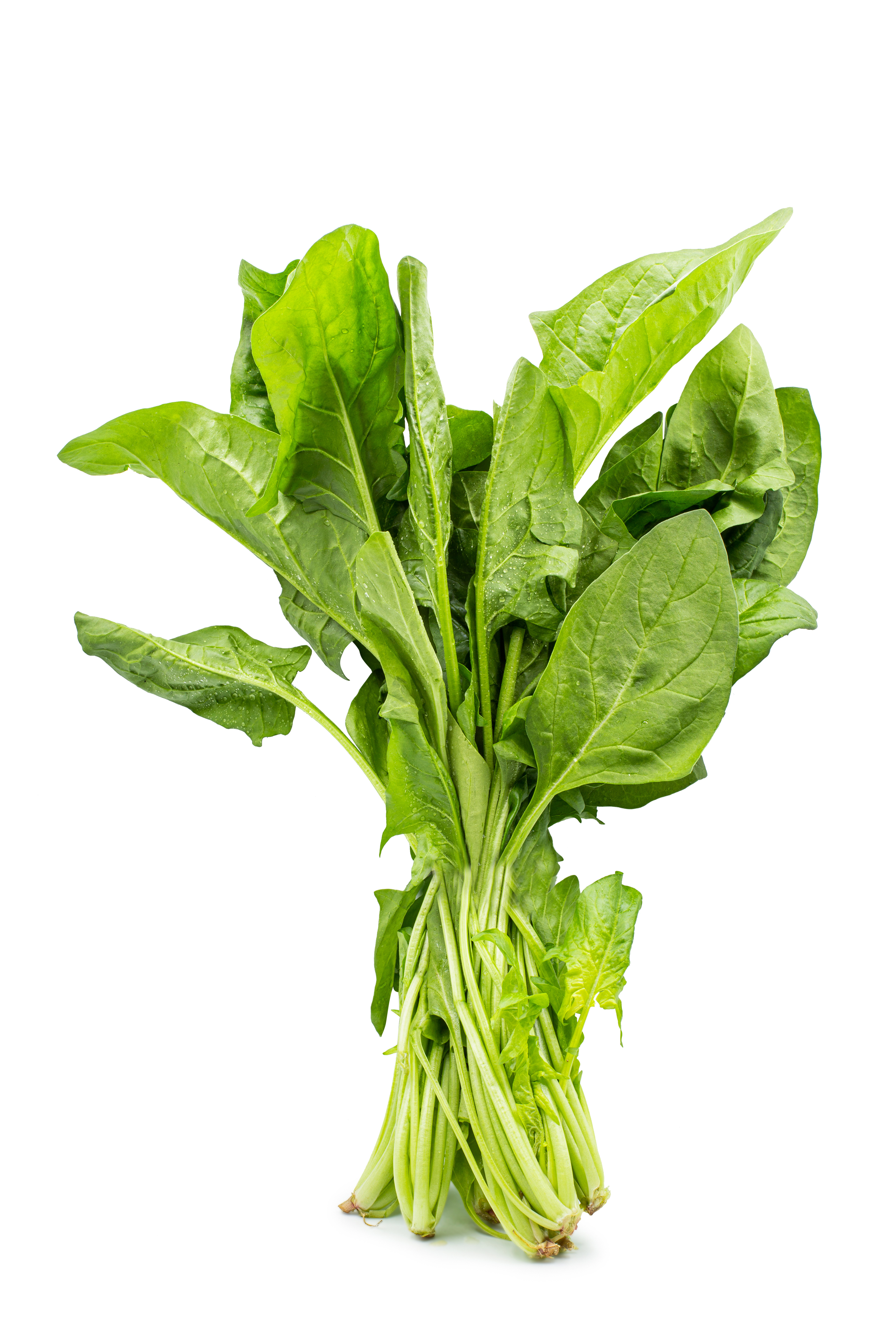 Exotic vegetables | Oriental Greens